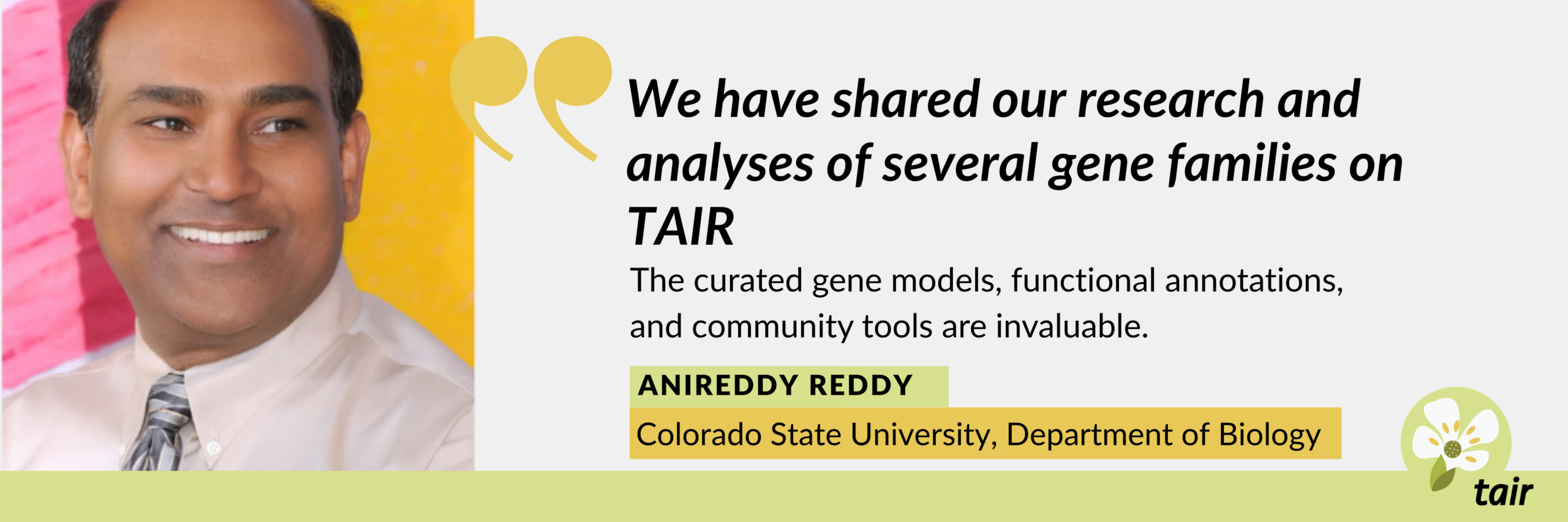 TAIR - Phoenix Bioinformatics